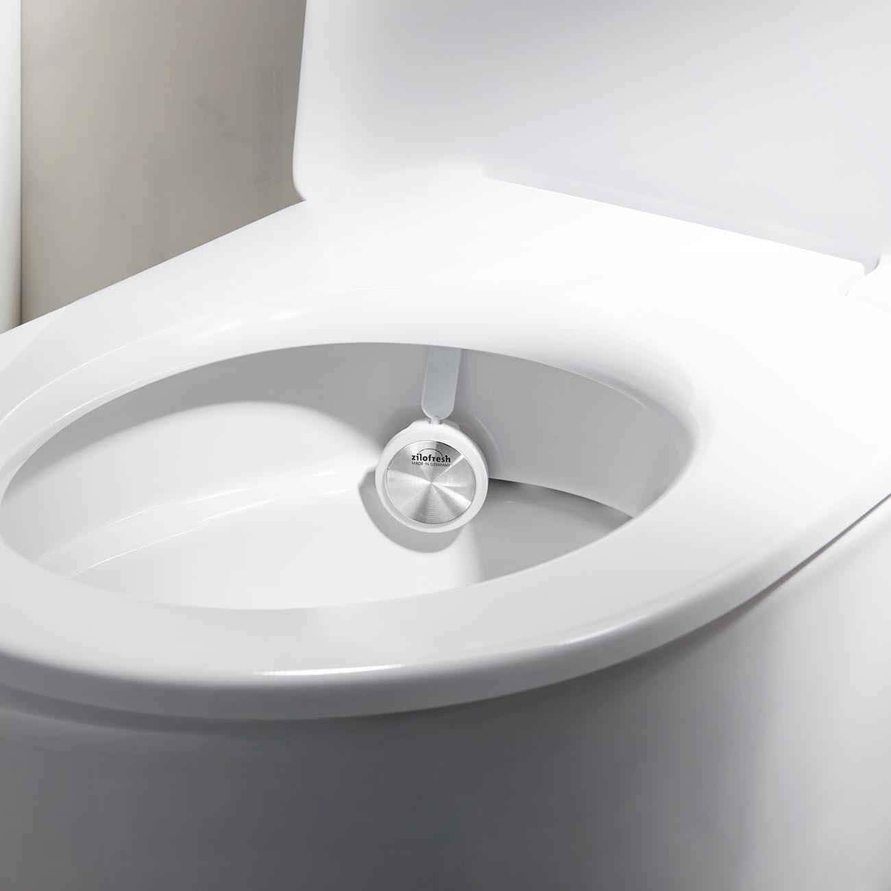 Welcher Wc Stein Für Randlose Toiletten