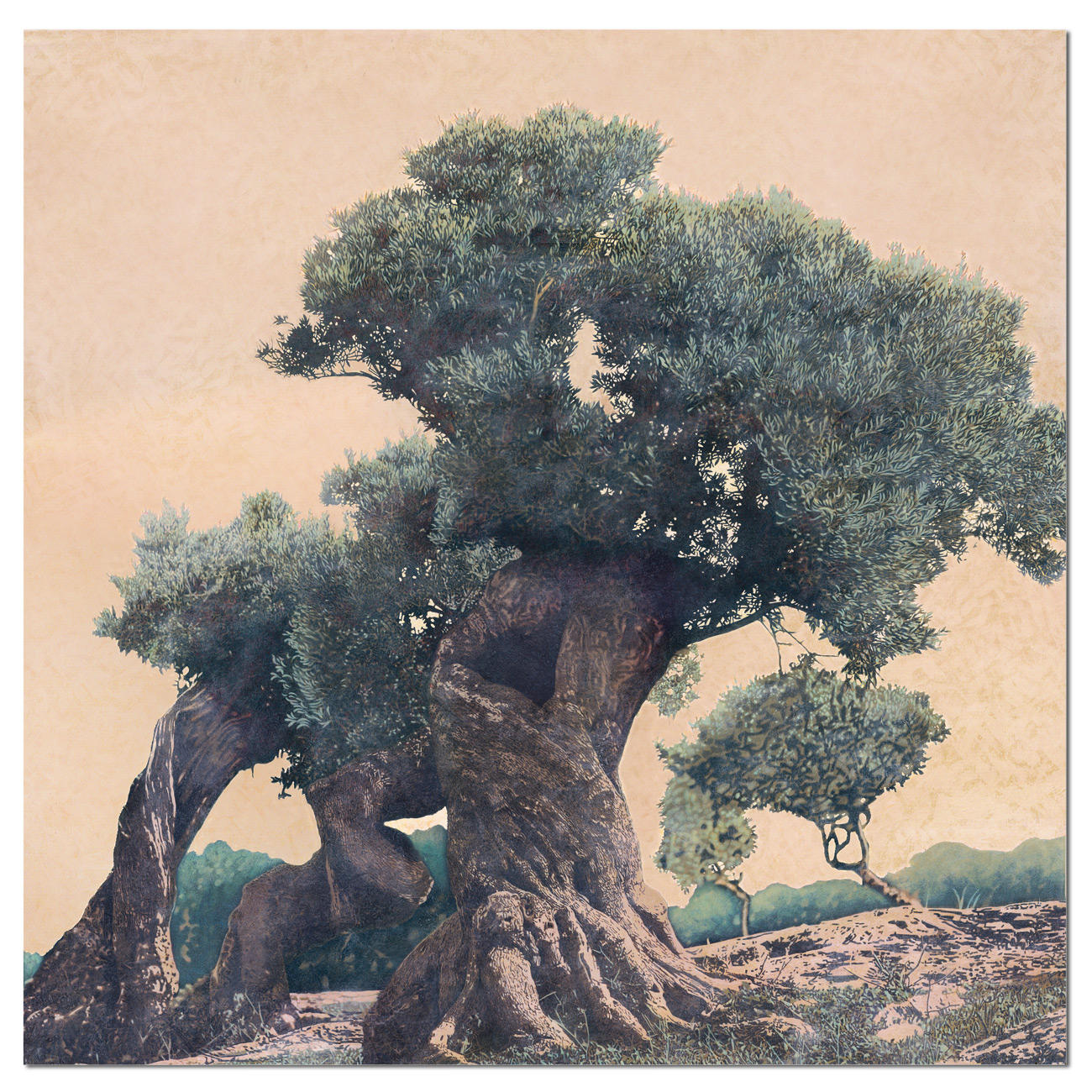 Ingo Wegerl – Olivenbaum kaufen | Pro-Idee Kunstformat