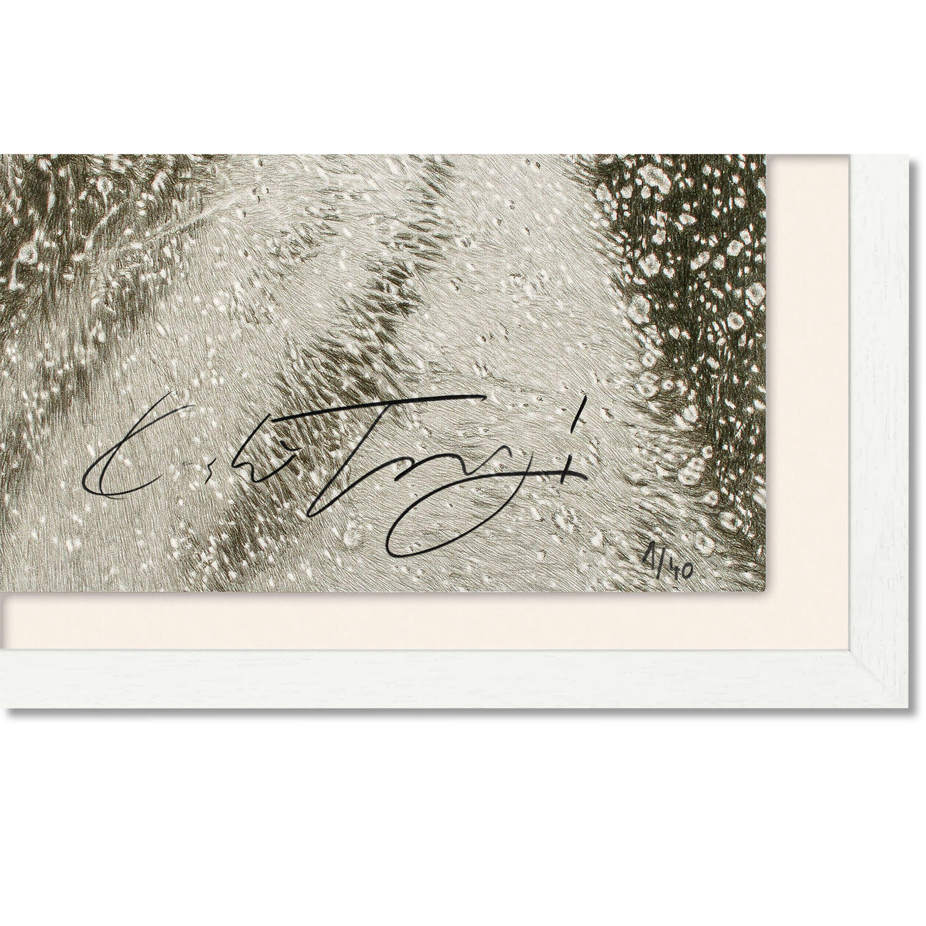 Koshi Takagi – Tiger kaufen | Pro-Idee Kunstformat