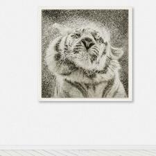 Koshi Takagi – Tiger kaufen | Pro-Idee Kunstformat